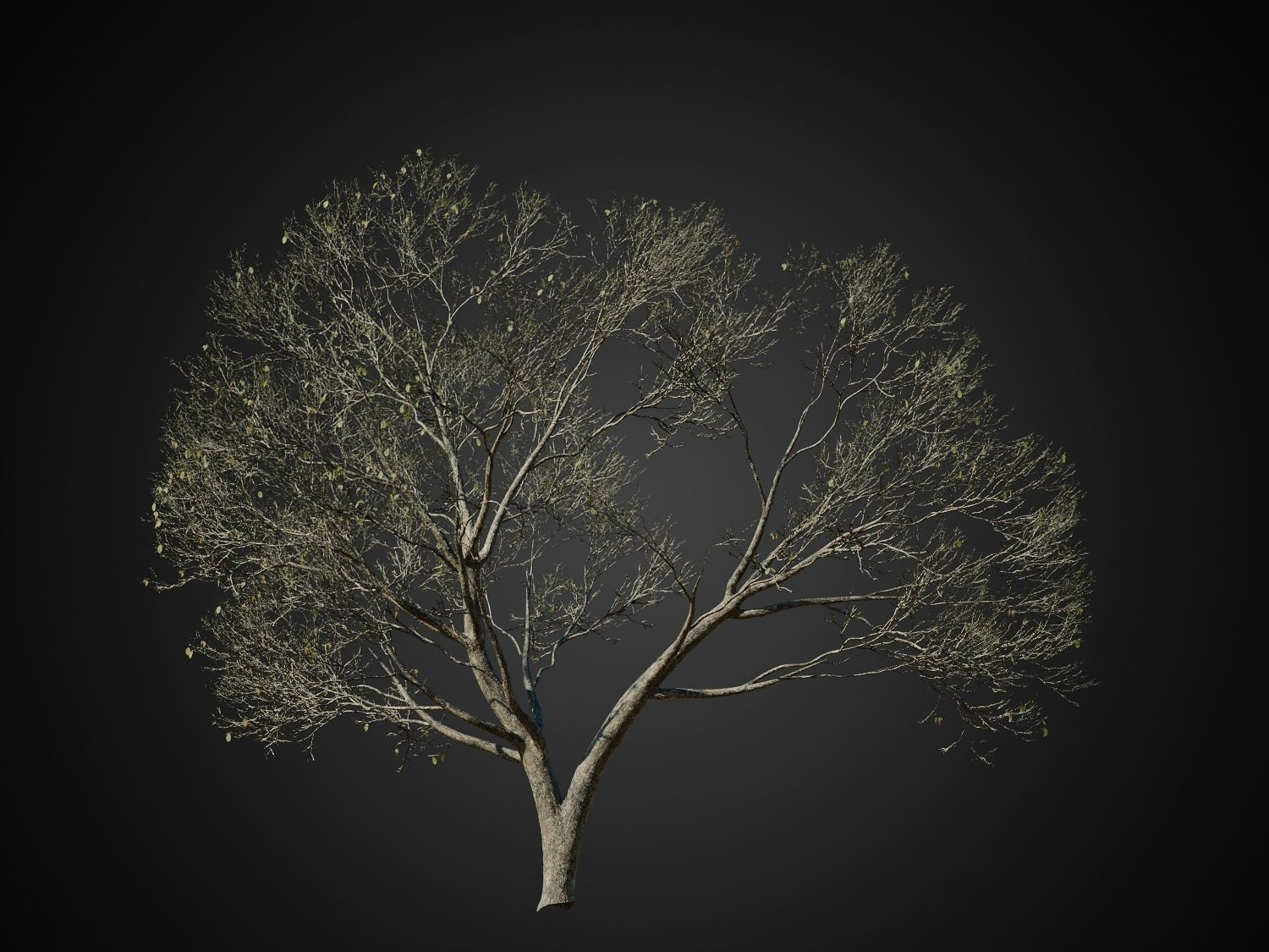 HeliosVegetation vol1 Autumn - leafless tree pack VRAY 3D model | CGTrader