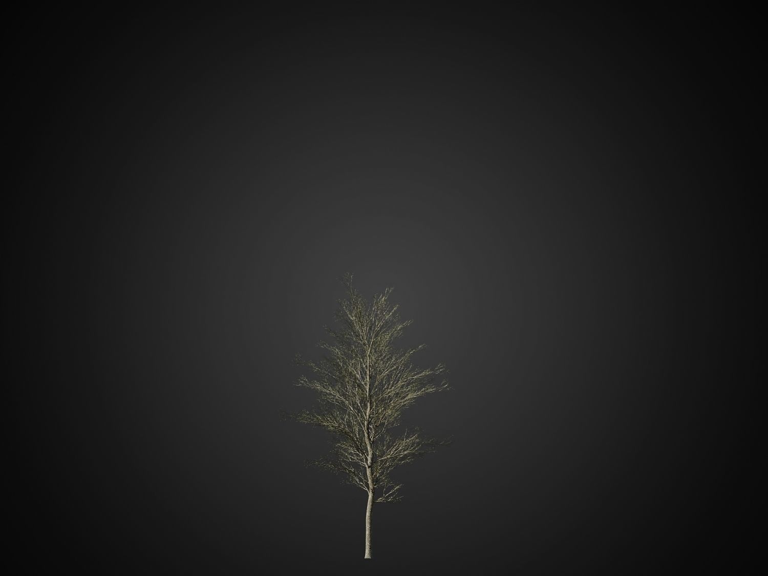 HeliosVegetation vol1 Autumn - leafless tree pack VRAY 3D model | CGTrader