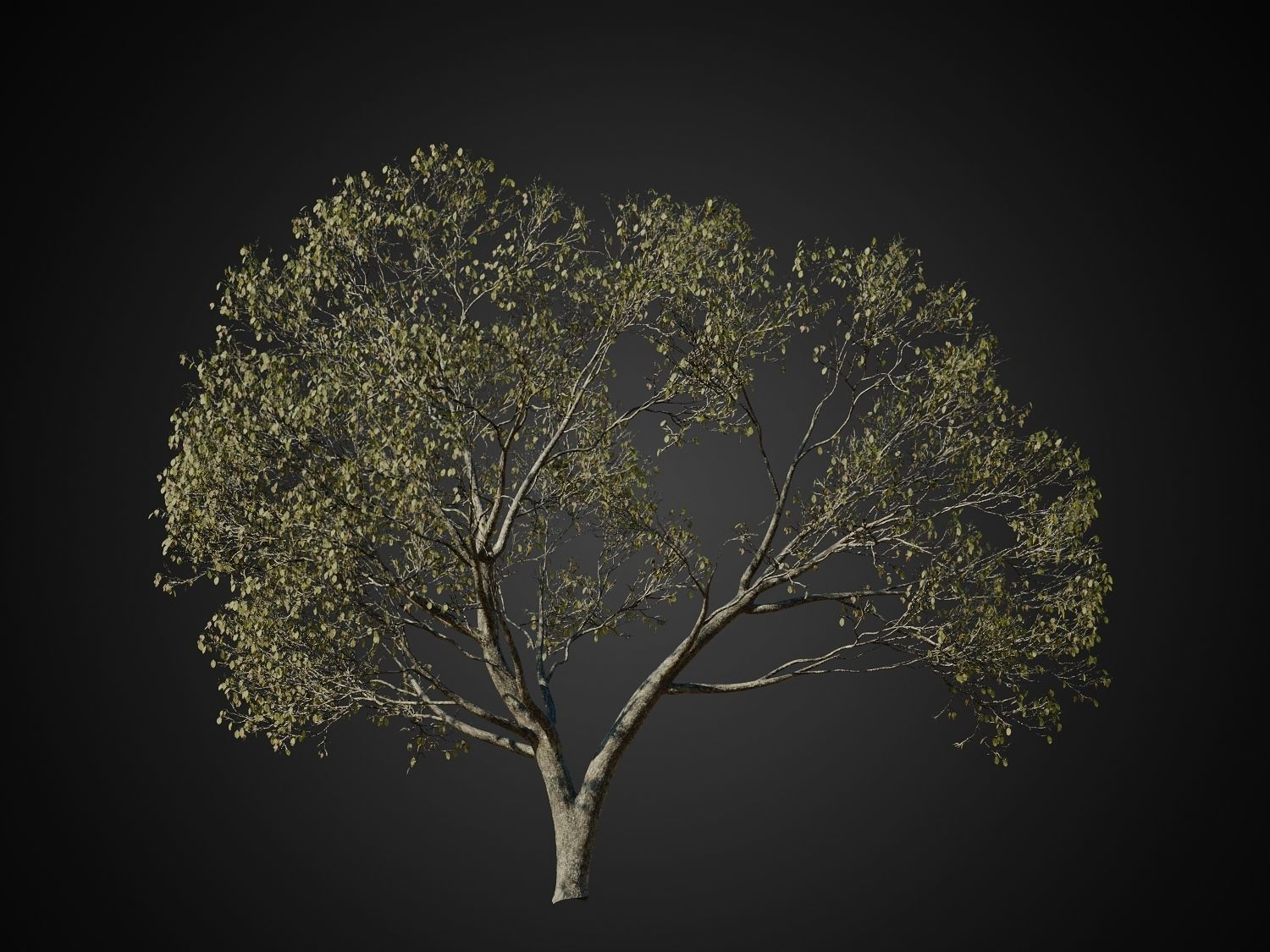 HeliosVegetation vol1 Autumn - leafless tree pack VRAY 3D model | CGTrader