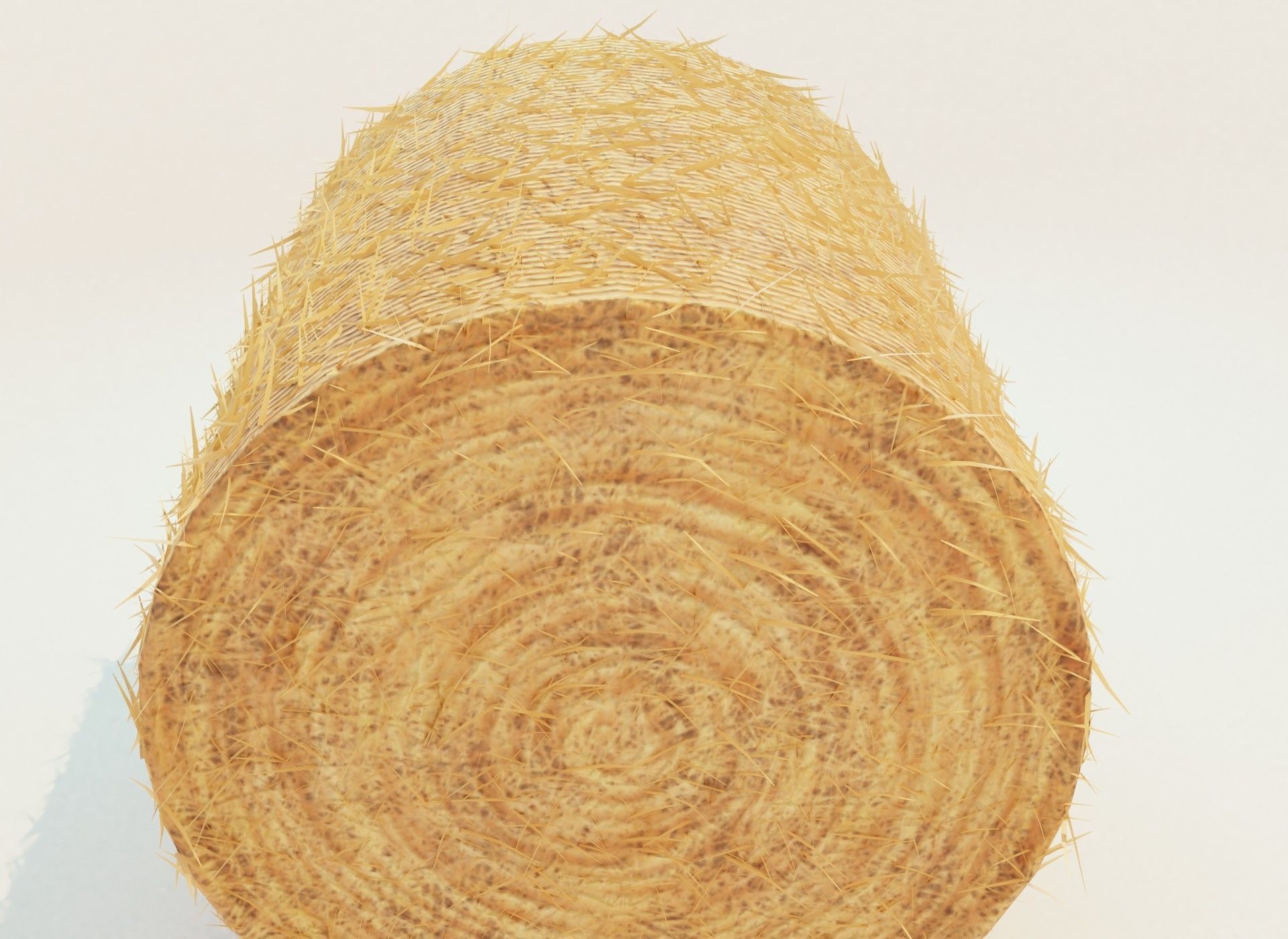 Hay Bale Round 3D Model 3D model | CGTrader