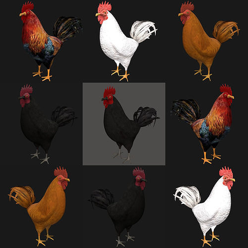 What Color Is A Hen