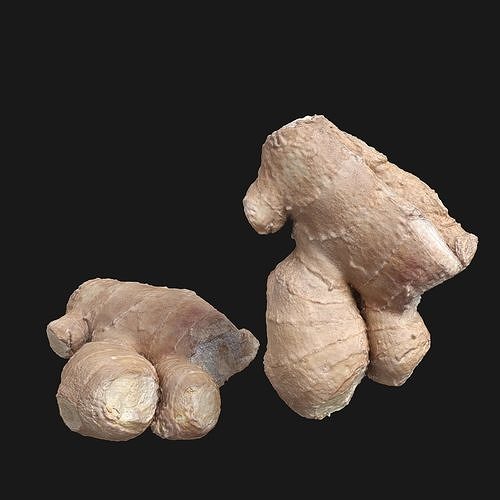 Ginger Photorealistic 3D model 3D model | CGTrader