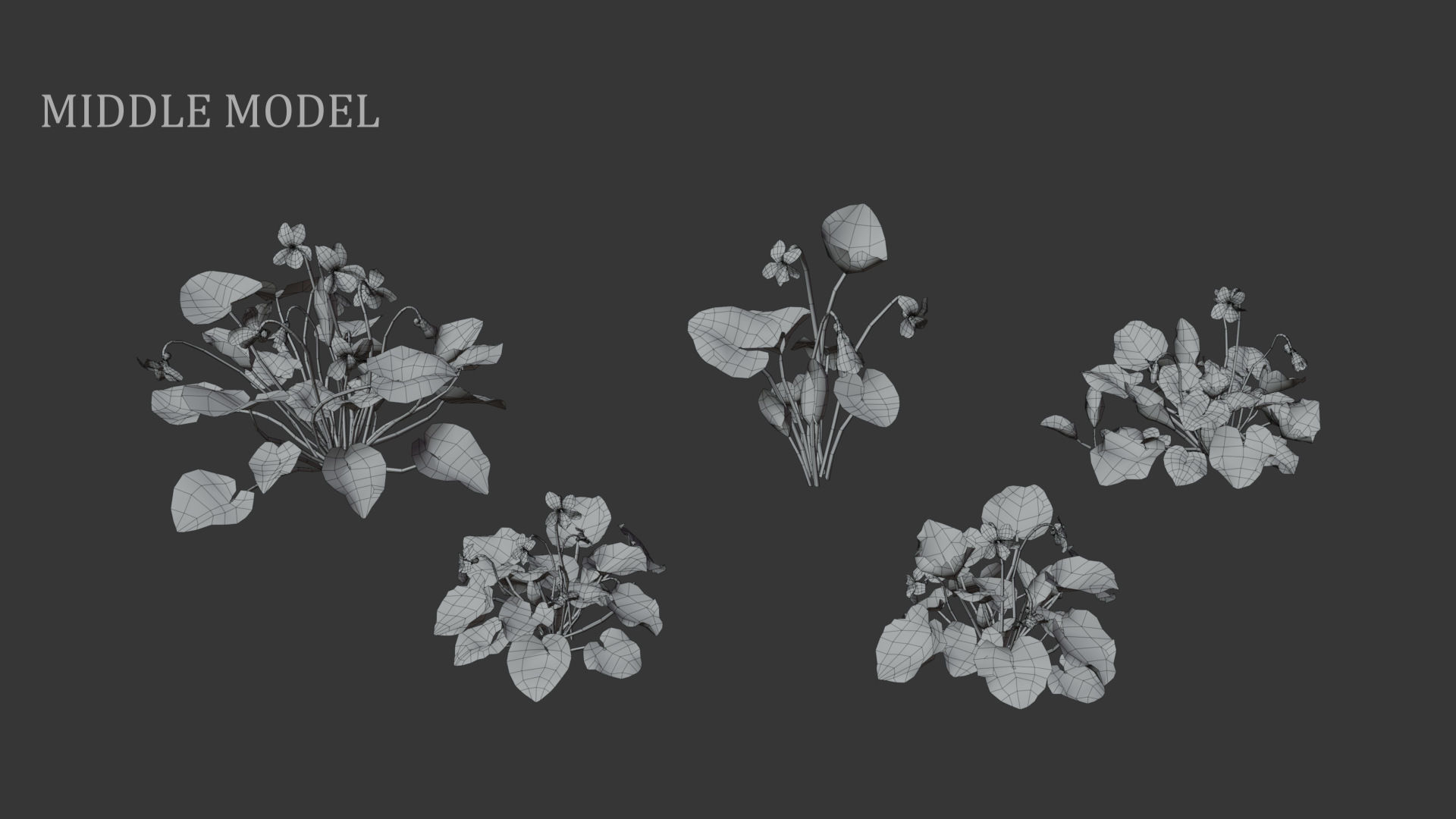 3D model Sweet violet VR / AR / low-poly | CGTrader