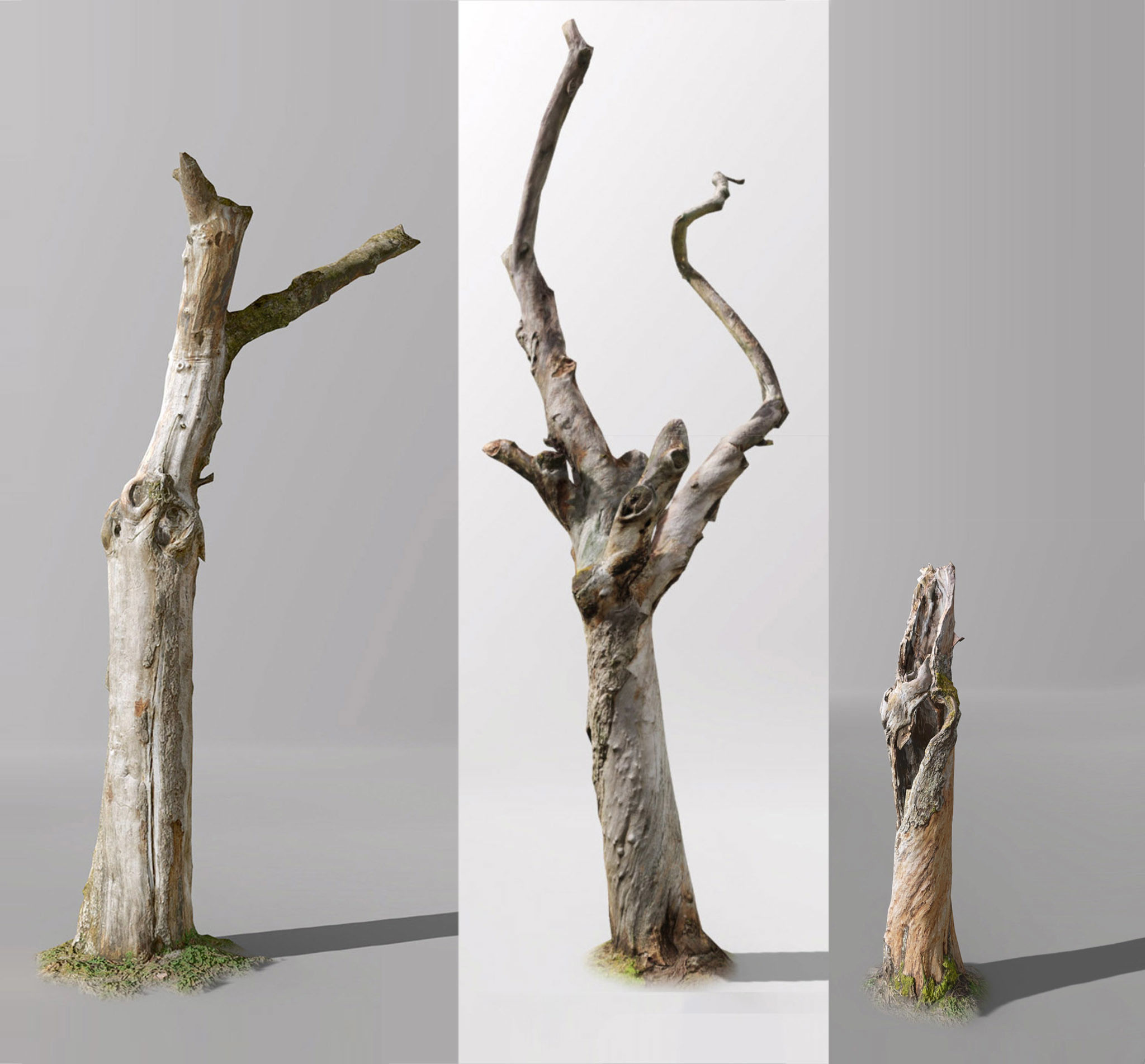 3D model Dead Tree Collection 3D Low poly VR / AR / low-poly | CGTrader