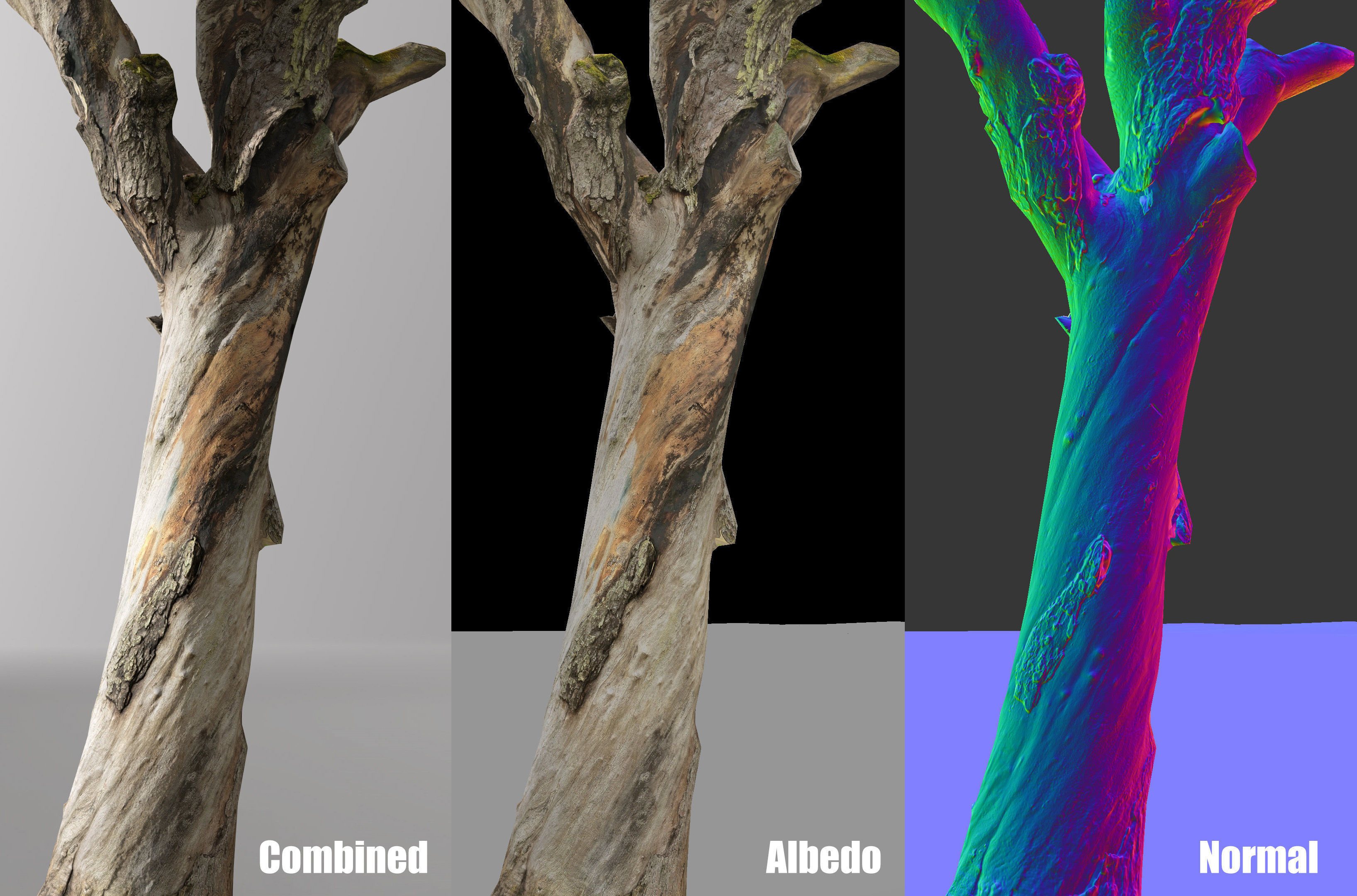 3D model Dead Tree Collection 3D Low poly VR / AR / low-poly | CGTrader