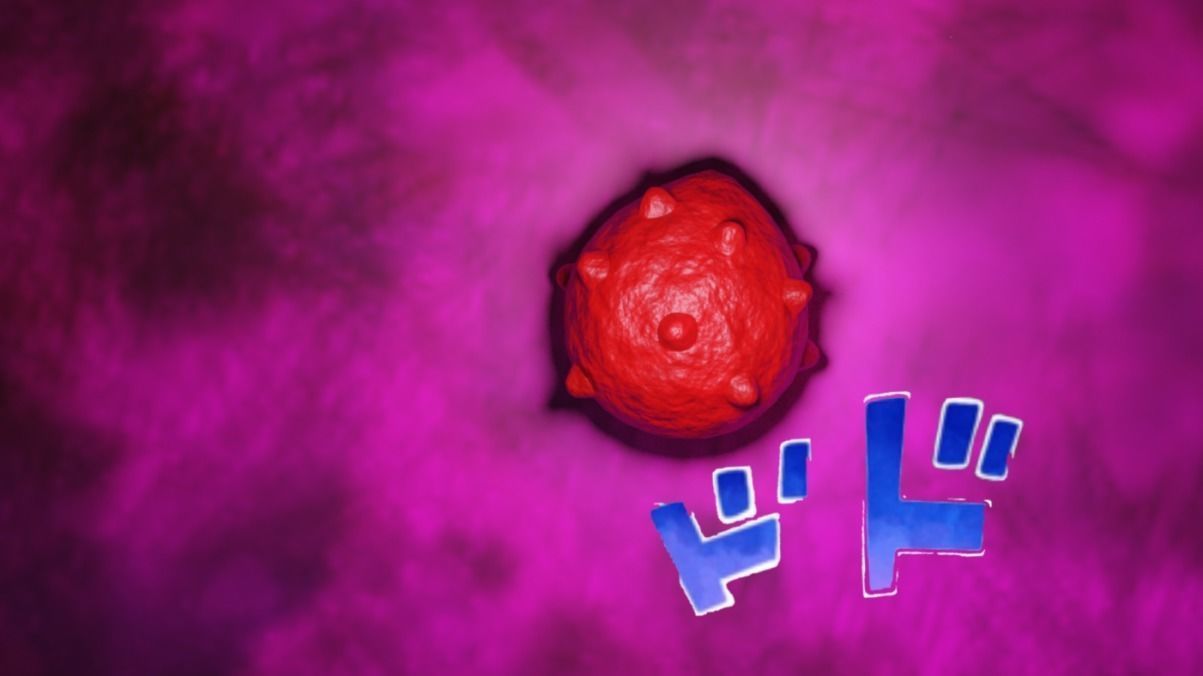 3D model Rokakaka fruit VR / AR / low-poly | CGTrader