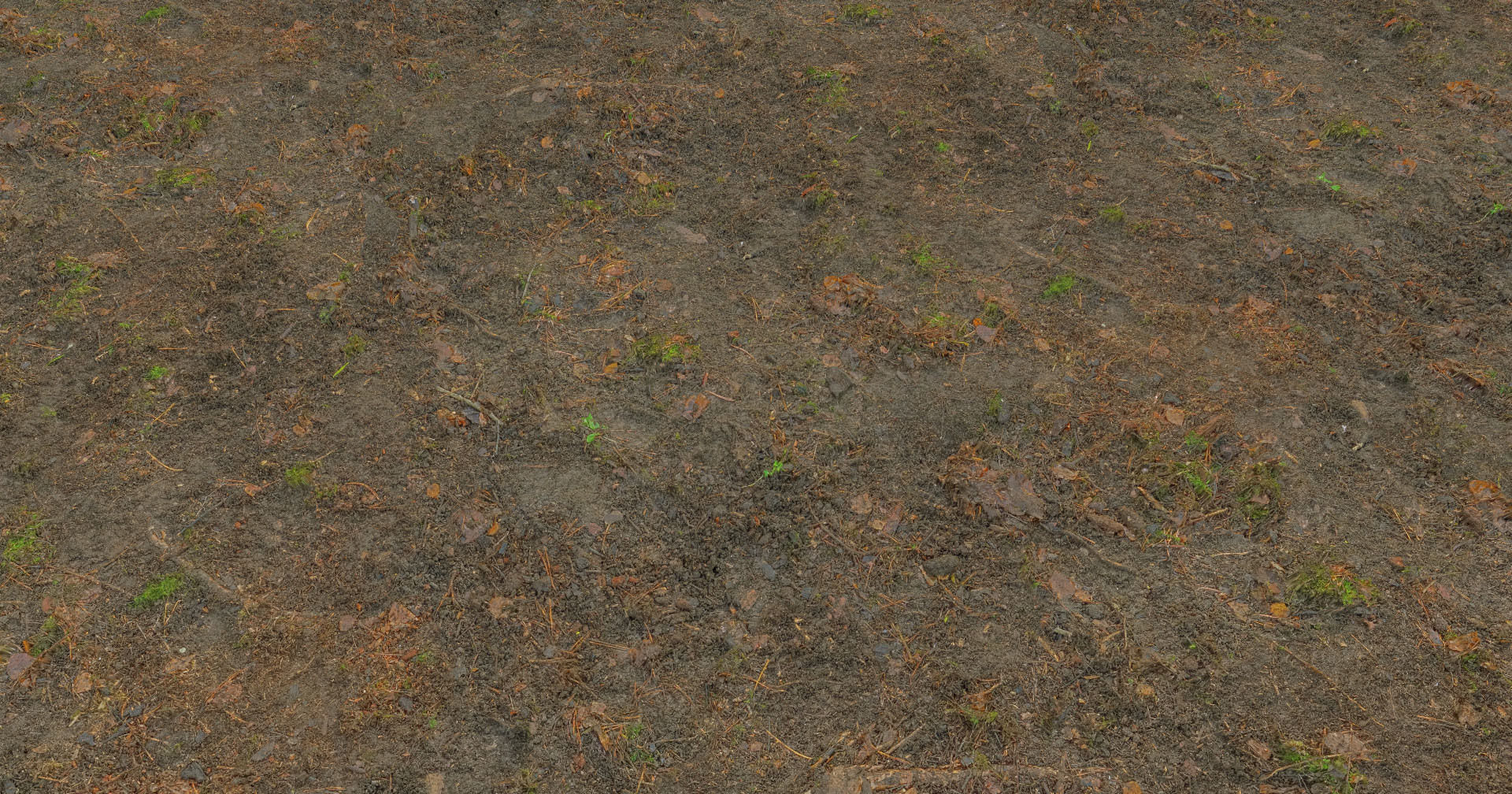 3D model Forest Branches Debris Leaves Scan VR / AR / low-poly | CGTrader