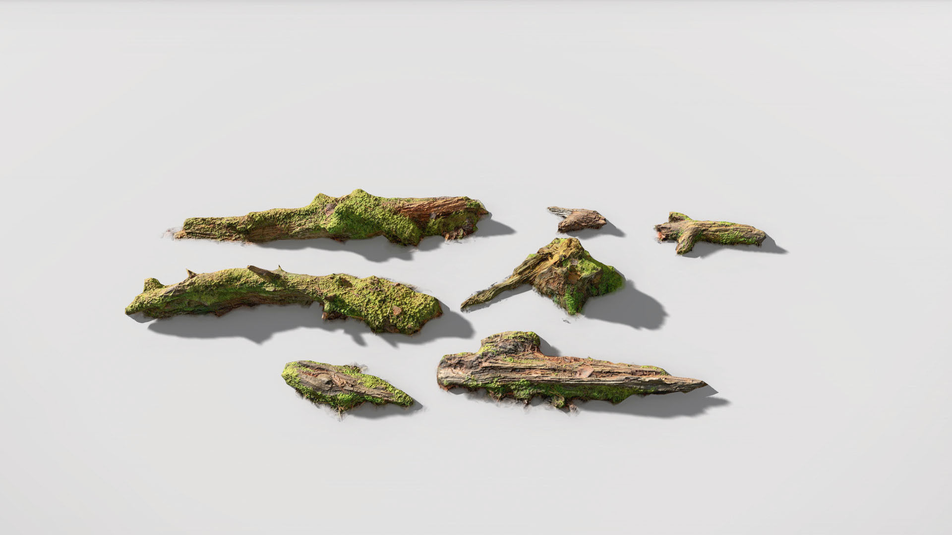 3D model Forest Branches Debris Leaves Scan VR / AR / low-poly | CGTrader