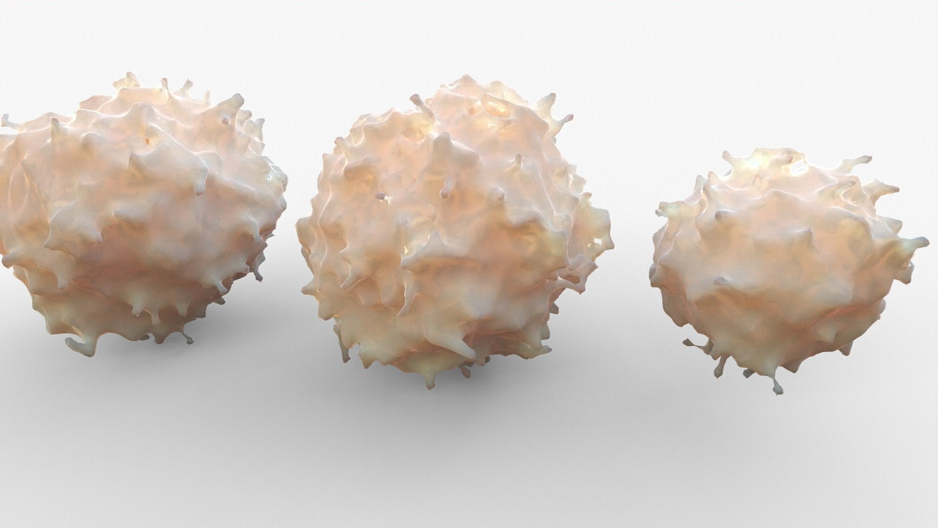 Lymphocytes cell 3D model | CGTrader