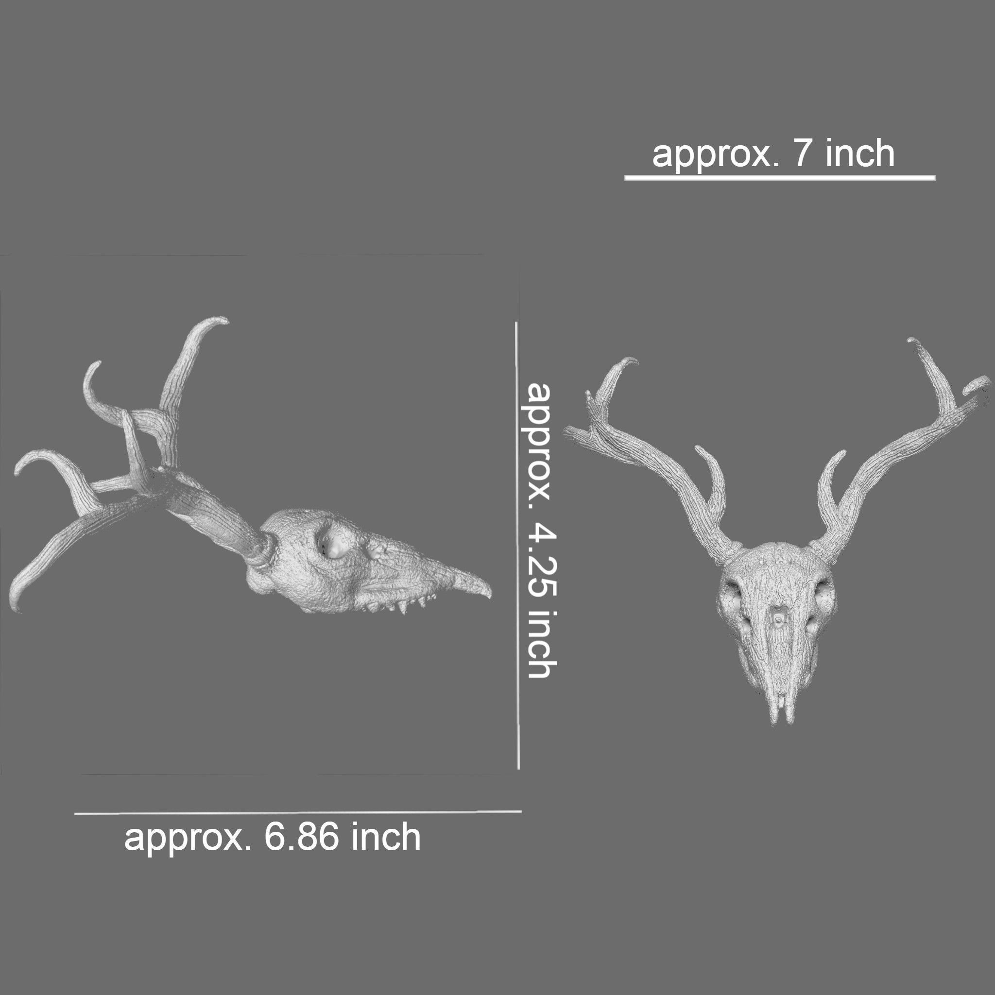 Stag Skull 3D model 3D printable | CGTrader
