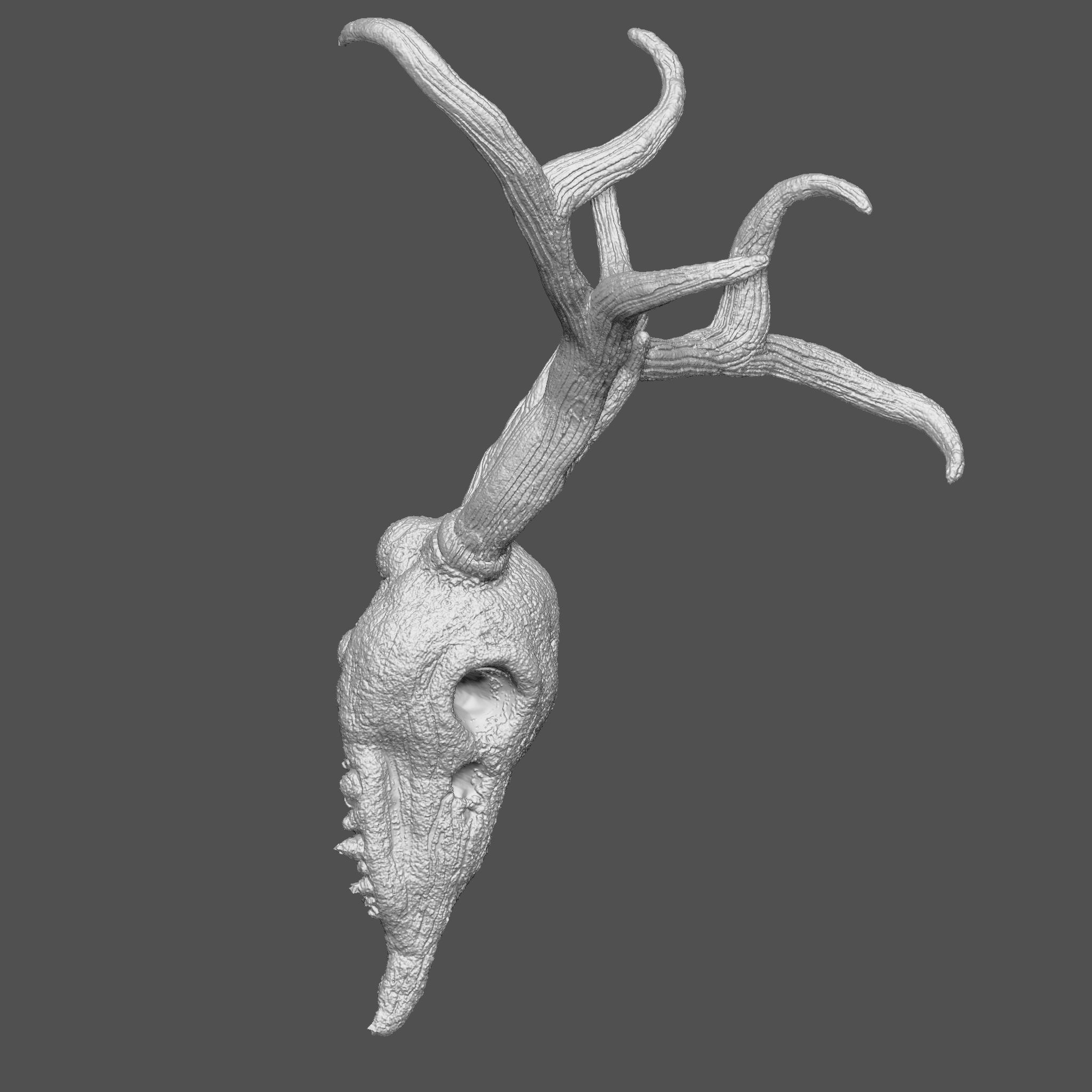 Stag Skull 3D model 3D printable | CGTrader