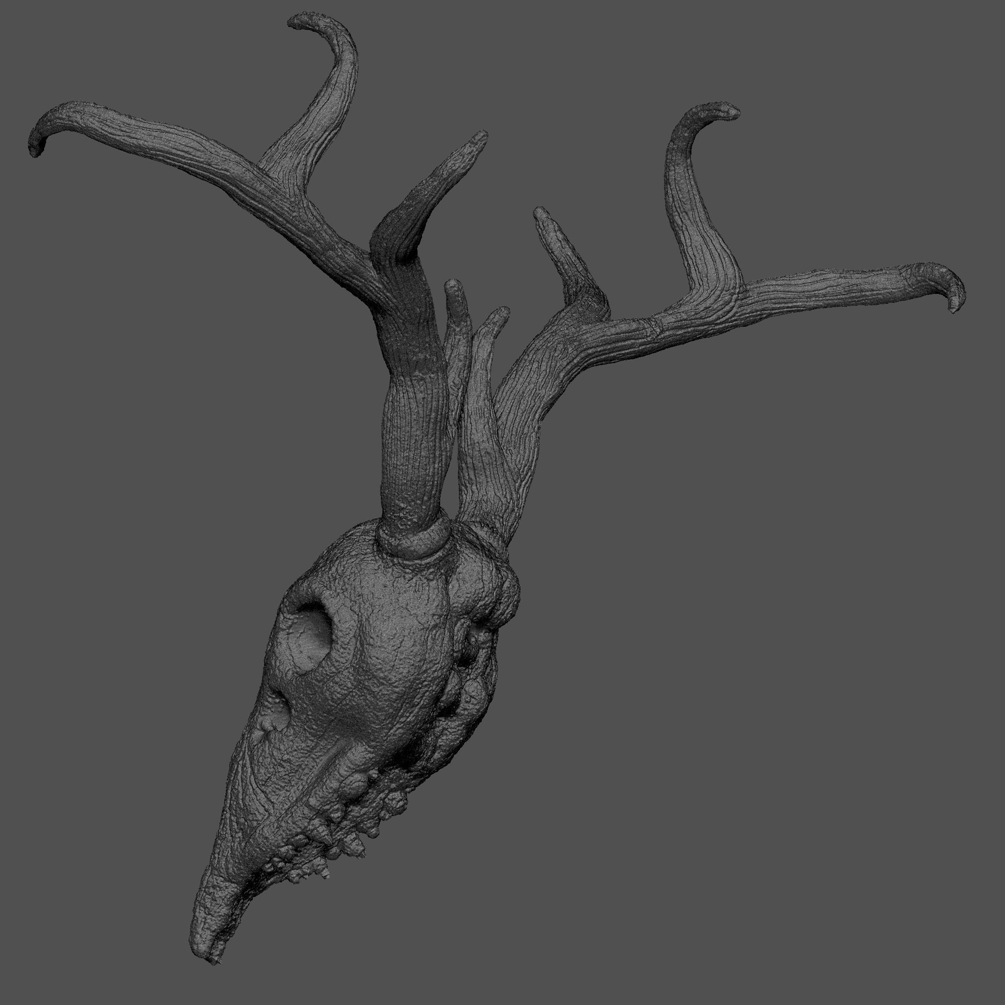 Stag Skull 3D model 3D printable | CGTrader