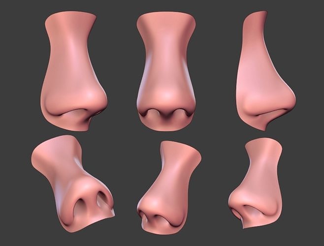 3D model Human Female Nose Subdivision Ready for Film VR / AR / low ...