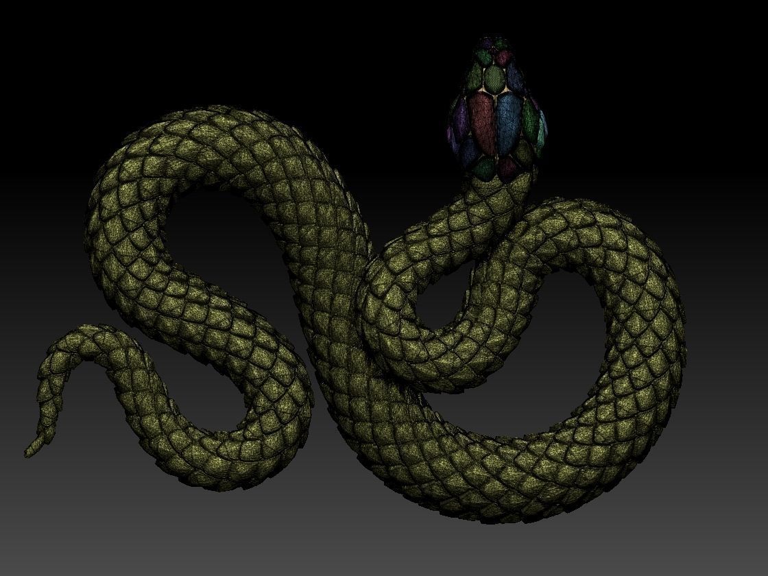 snake 3D model 3D printable | CGTrader