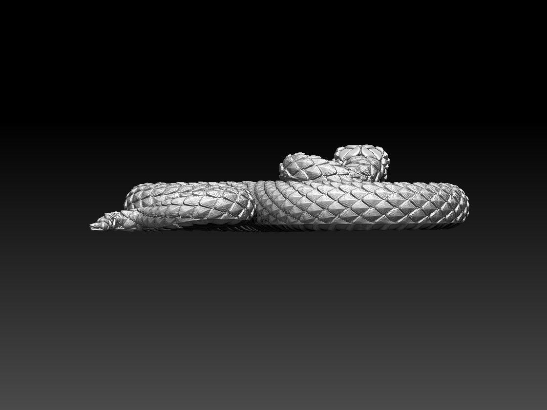 snake 3D model 3D printable | CGTrader