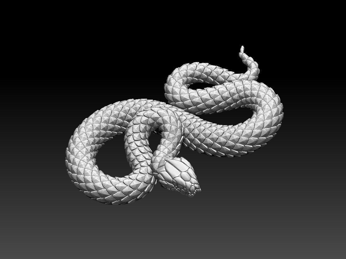 snake 3D model 3D printable | CGTrader