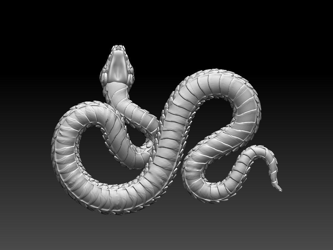 snake 3D model 3D printable | CGTrader