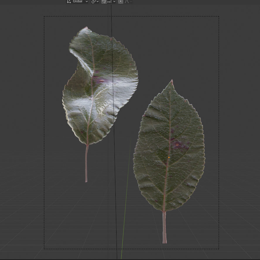 Apple leaf 3D model | CGTrader