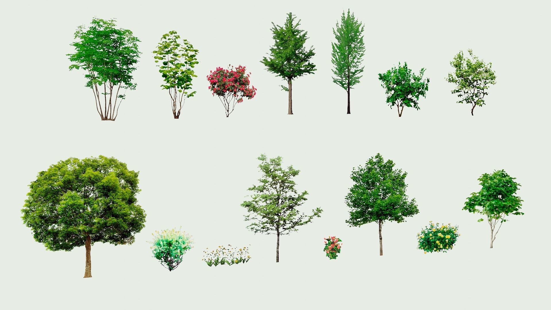 3D model LOW-POLY PLANTS different trees in row VR / AR / low-poly ...