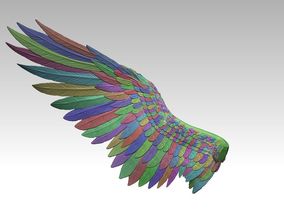 Bird wing 3D Models | CGTrader