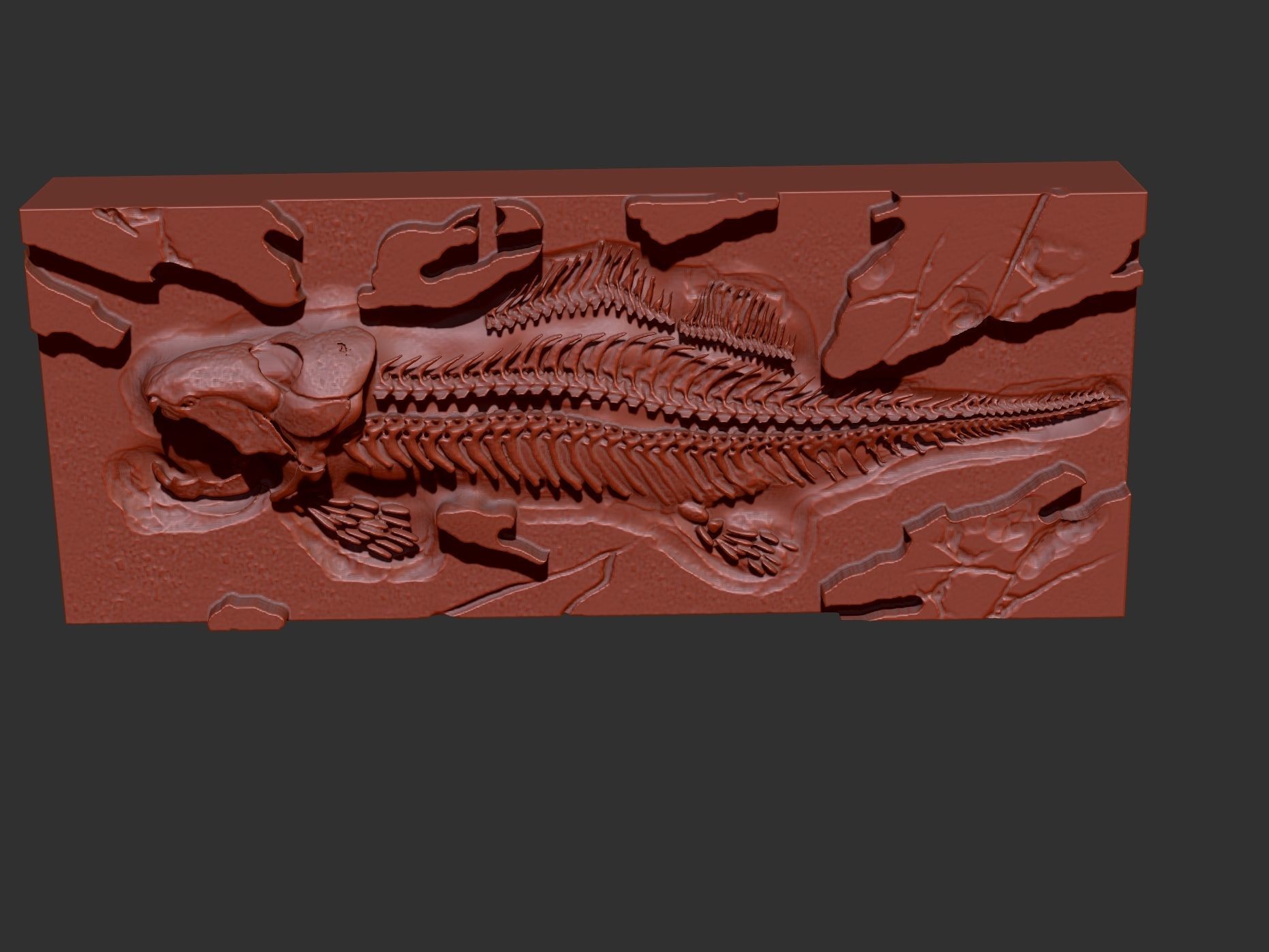 Dunkleosteus Excavations 3D model 3D printable | CGTrader