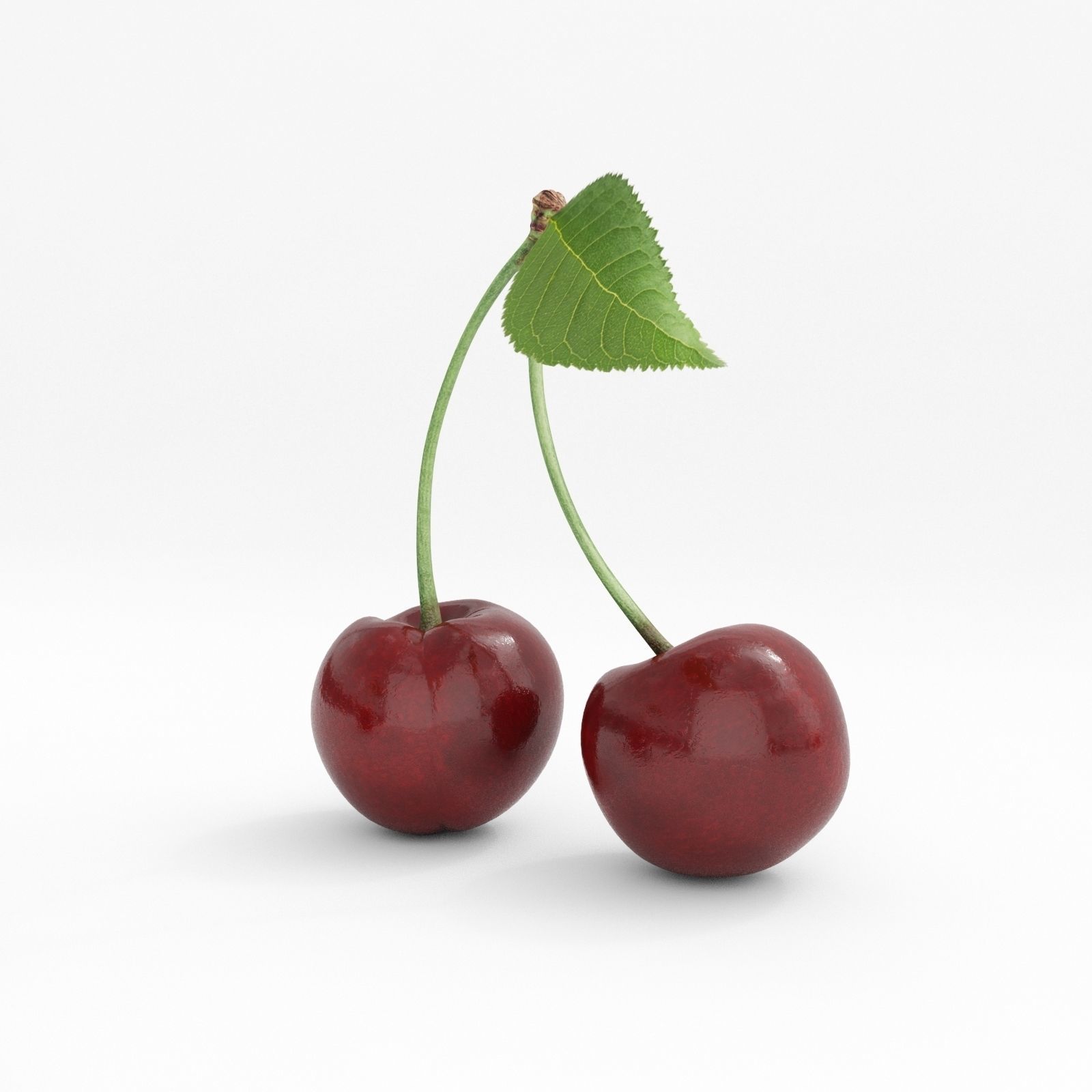 cherry 3D model two cherries 3D model | CGTrader