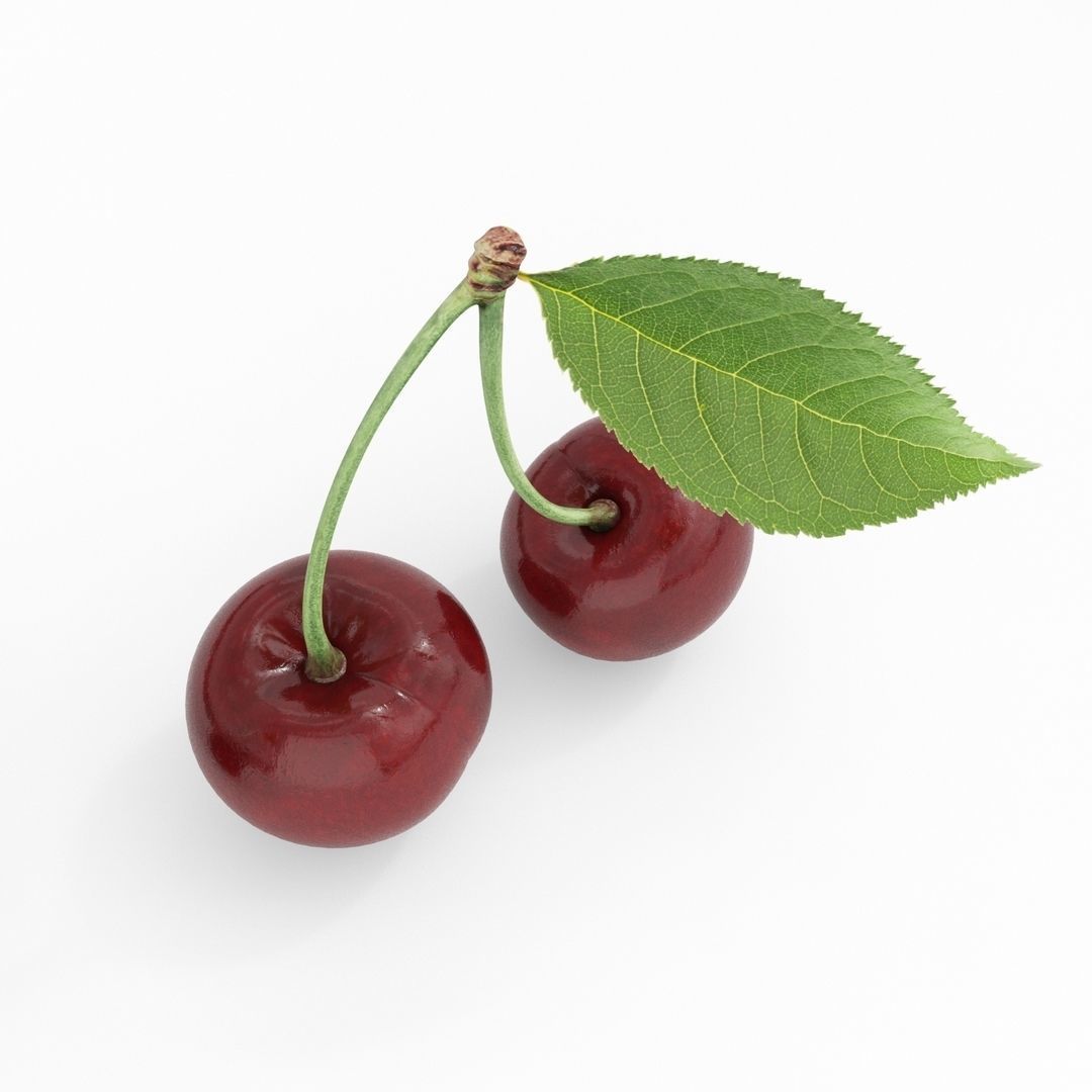 cherry 3D model two cherries 3D model | CGTrader