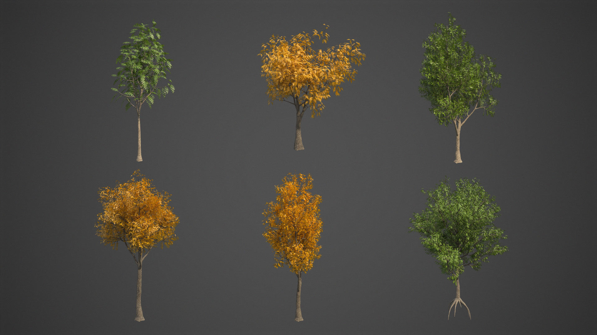2021 PBR Little Walnut Collection - Juglans Microcarpa 3D model | CGTrader