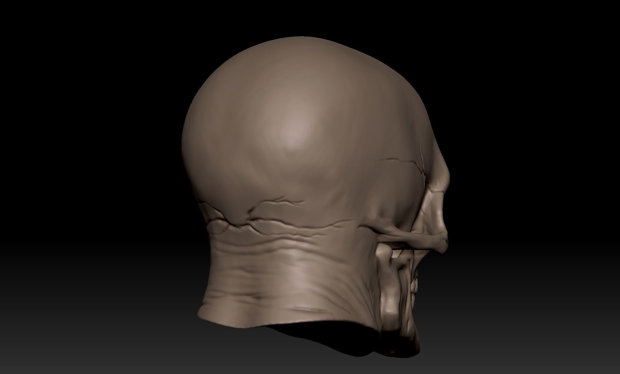 Scullhead Sculpt 3D model | CGTrader