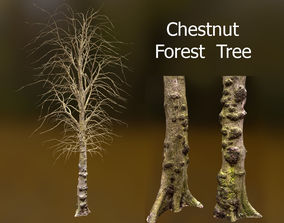 Chestnut 3D Models | CGTrader