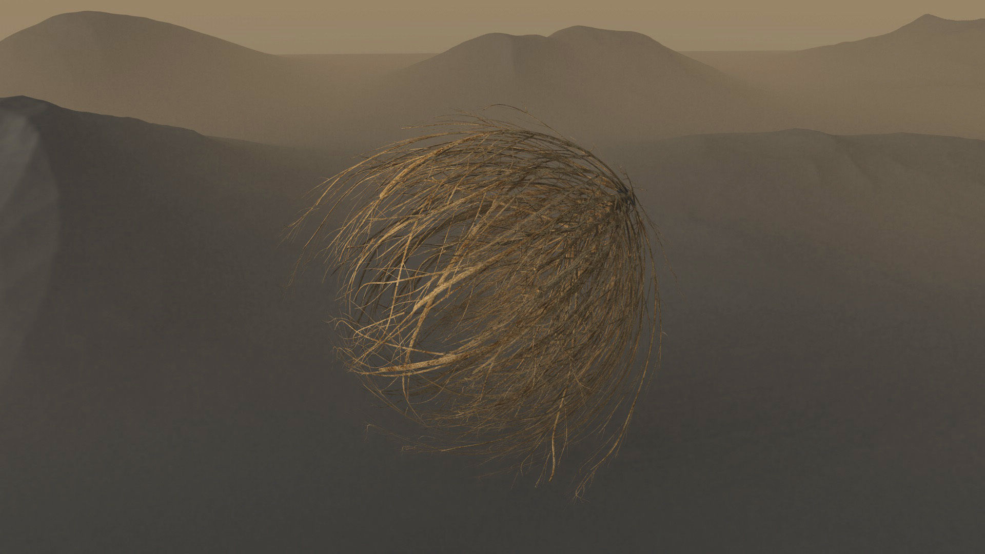 Tumbleweed in Storm 3D model | CGTrader