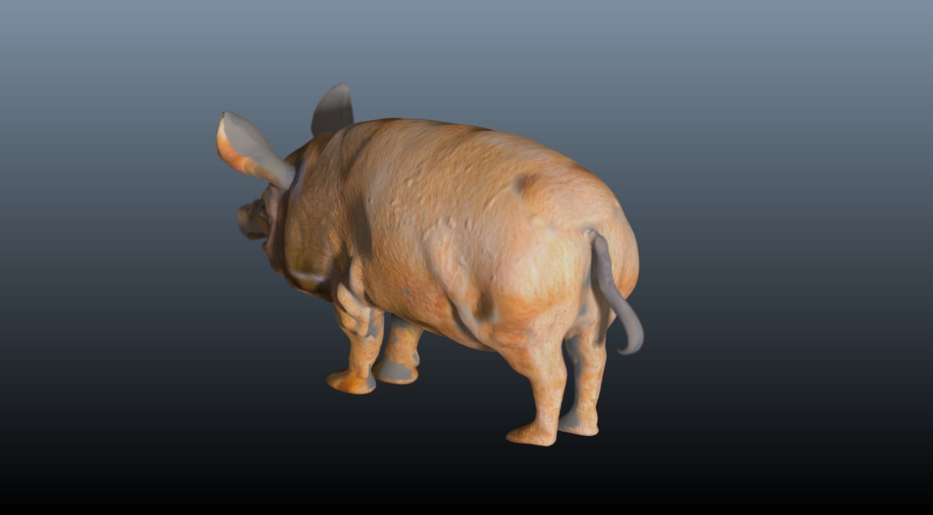 The hog 3D Model | CGTrader.com