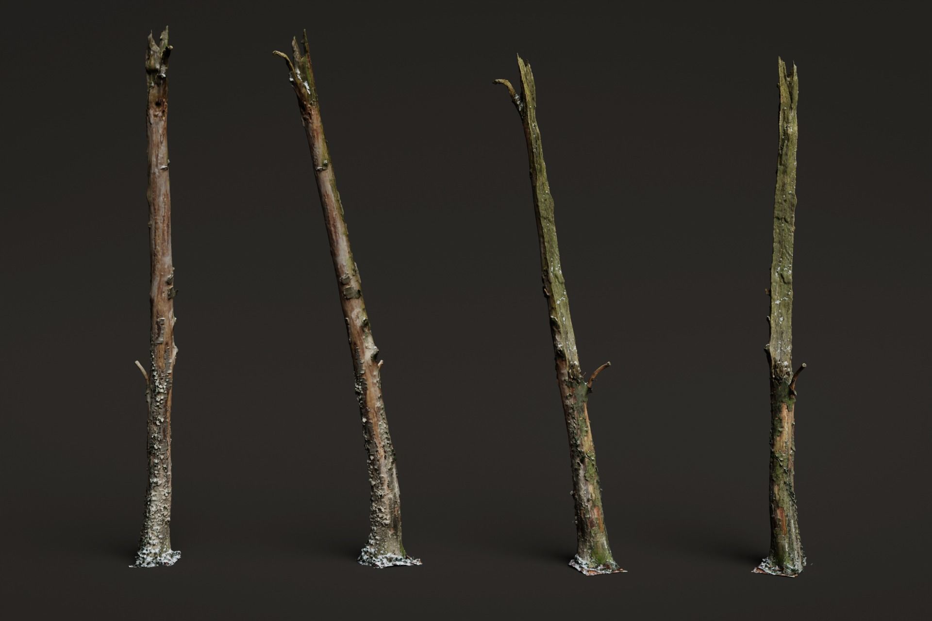 Dead Tree Trunk long and slightly snow covered 3D model | CGTrader