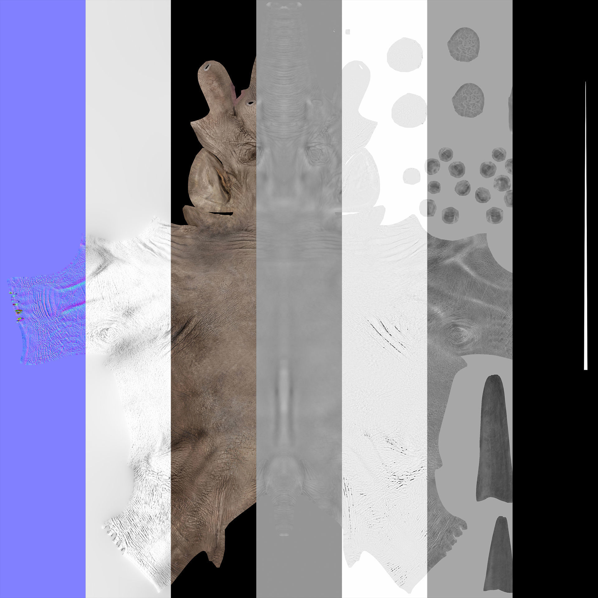 Extinct animals pack version 15 3D model | CGTrader