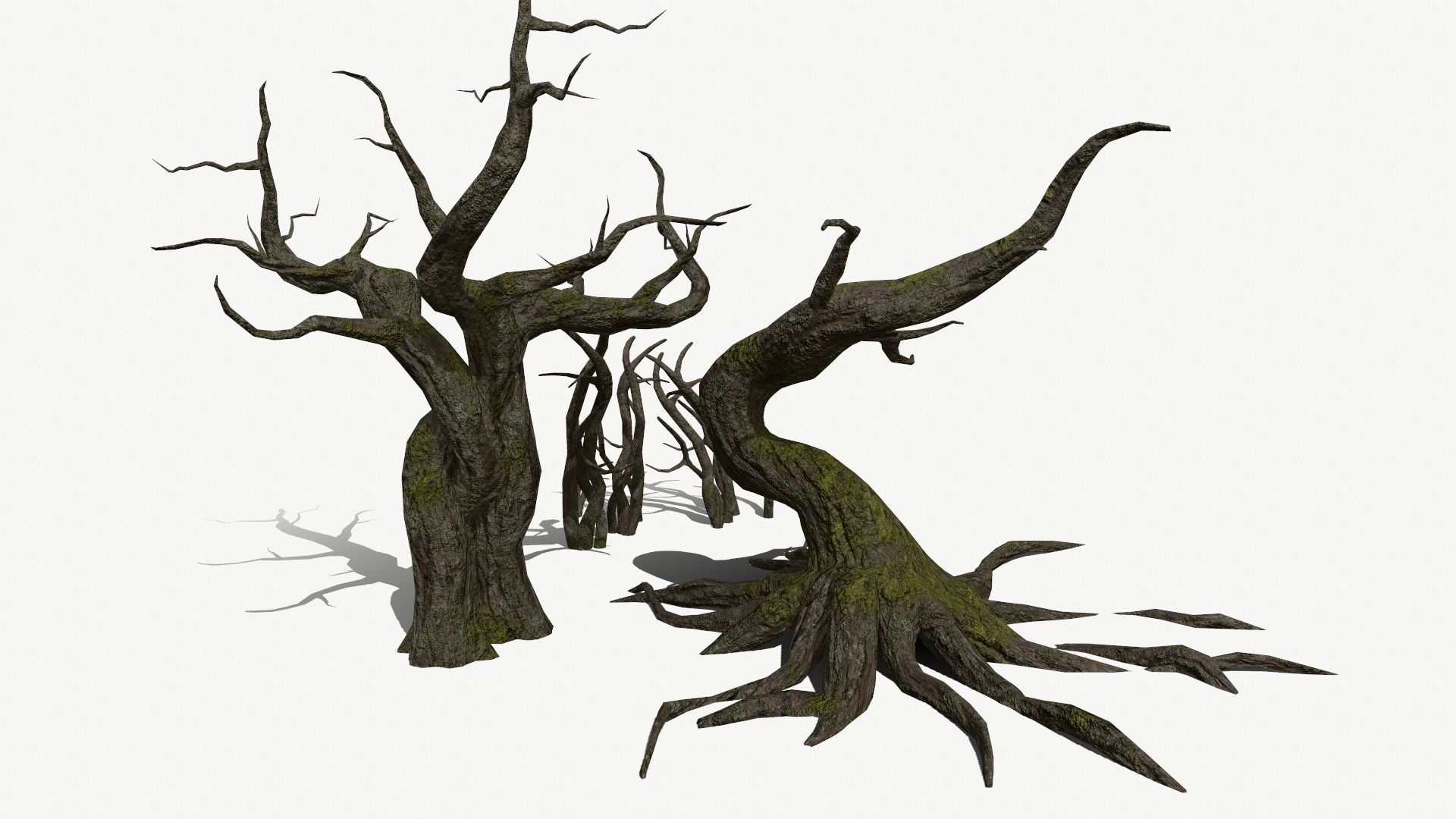 3D model Twisted Trees | CGTrader