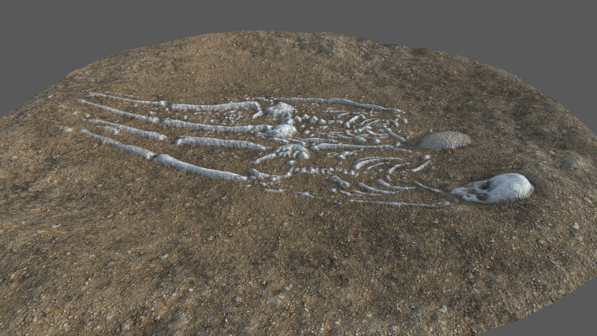 3D model human skeleton remains VR / AR / low-poly | CGTrader