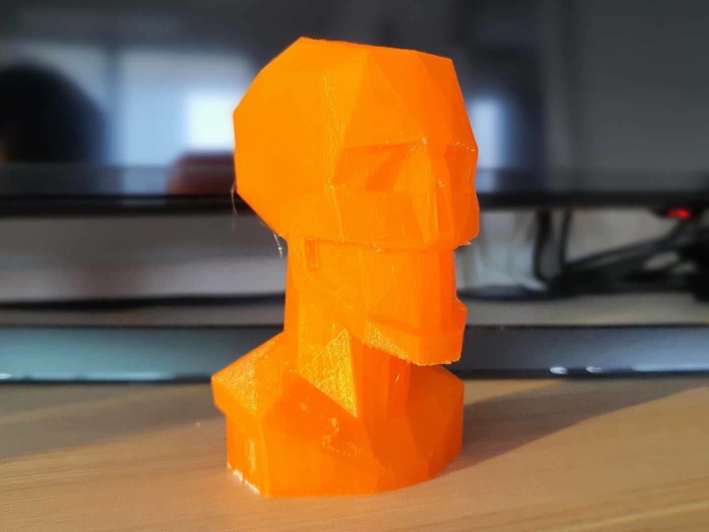LOW POLYGON PLANE OF HEAD 3D PRINT MODEL 3D model 3D printable | CGTrader