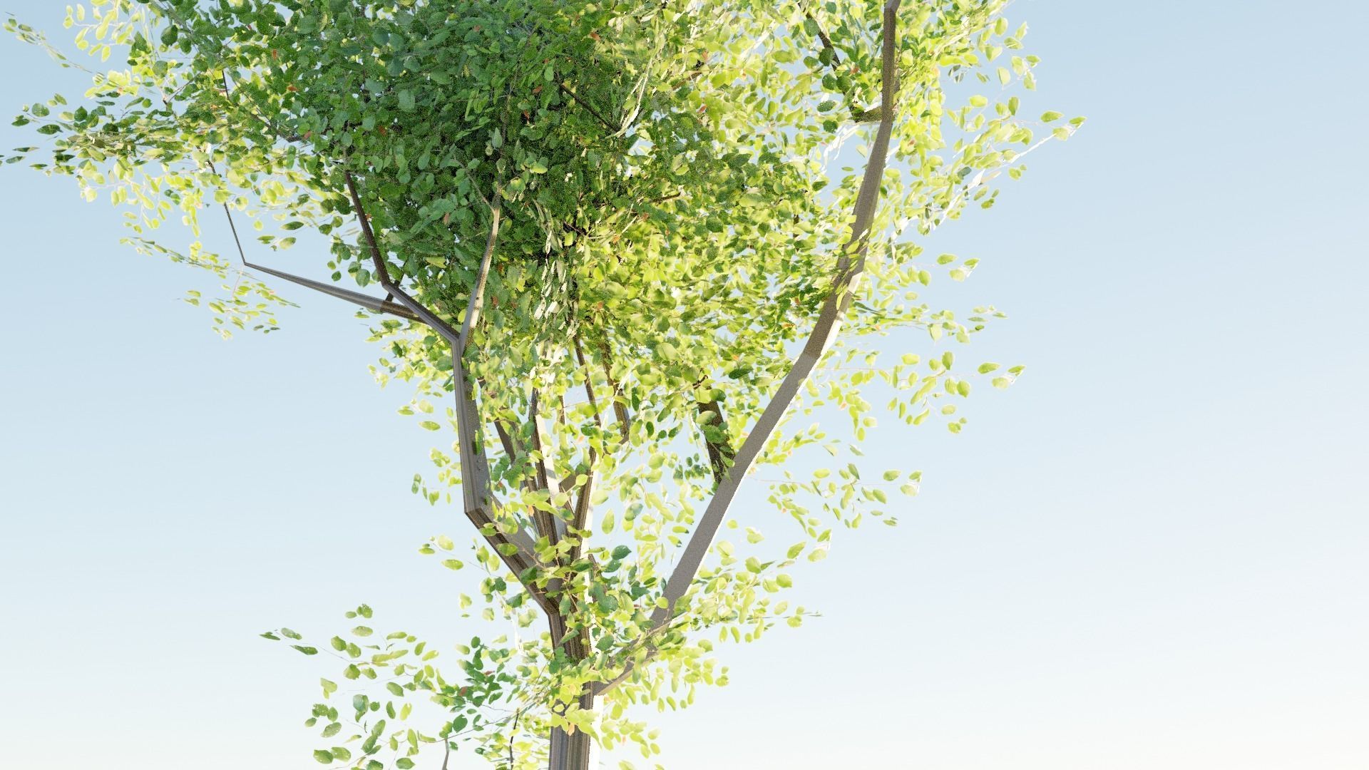 3D model low poly tree VR / AR / low-poly | CGTrader