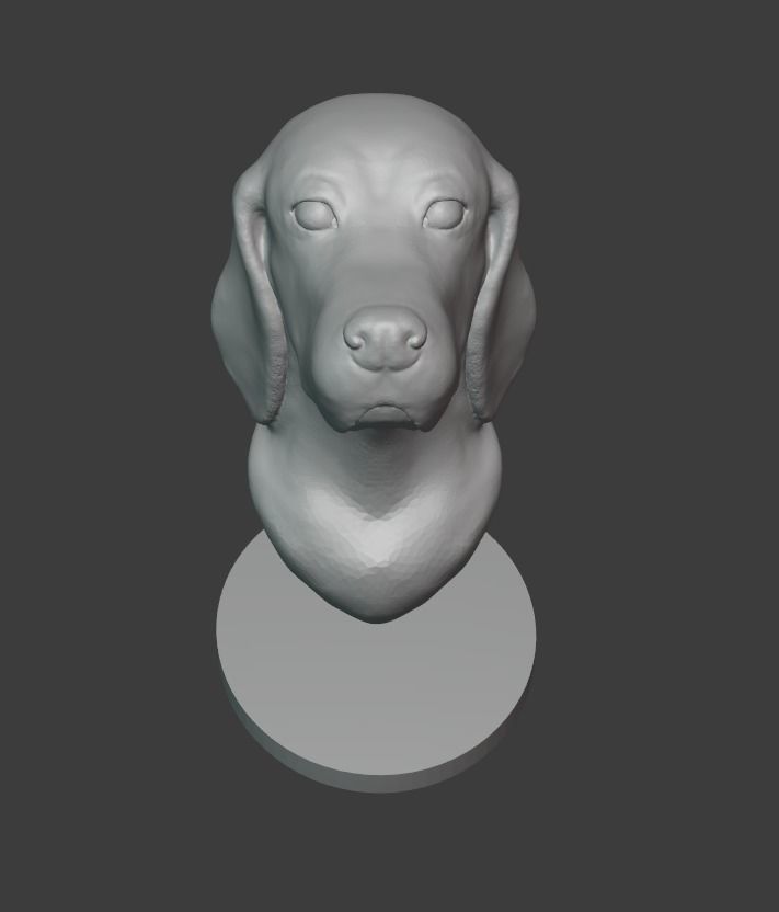 English setter- bust 3D model 3D printable | CGTrader