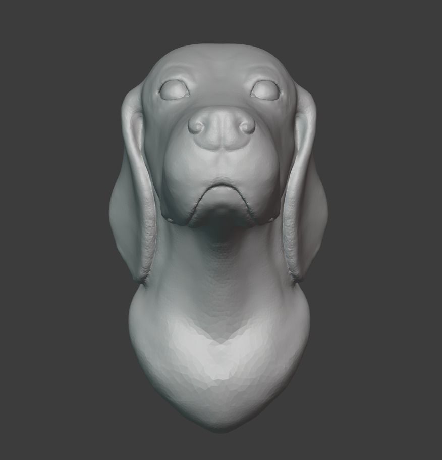 English setter- bust 3D model 3D printable | CGTrader