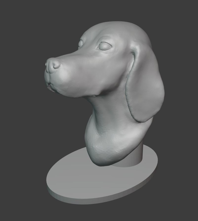 English setter- bust 3D model 3D printable | CGTrader