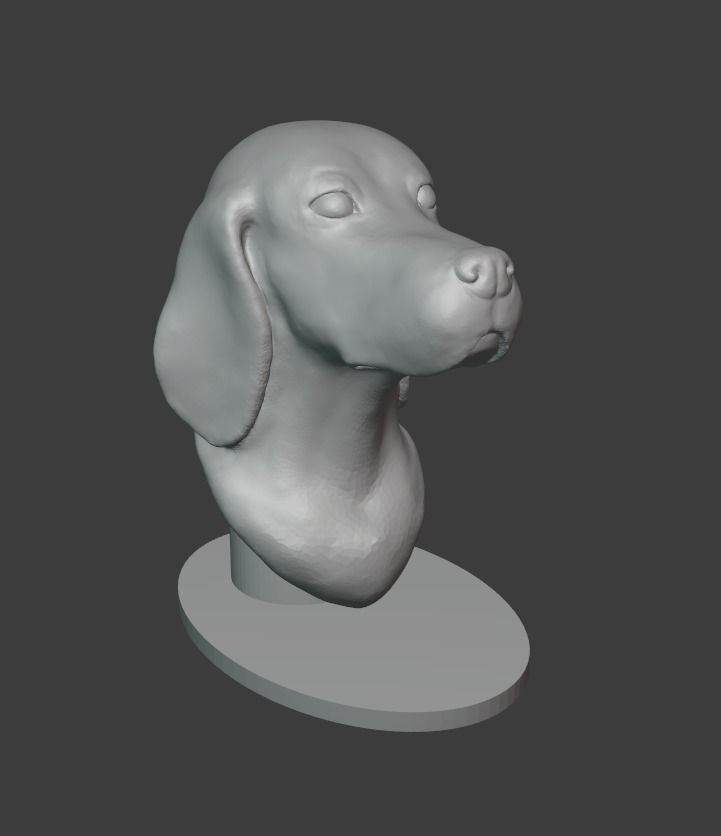 English setter- bust 3D model 3D printable | CGTrader