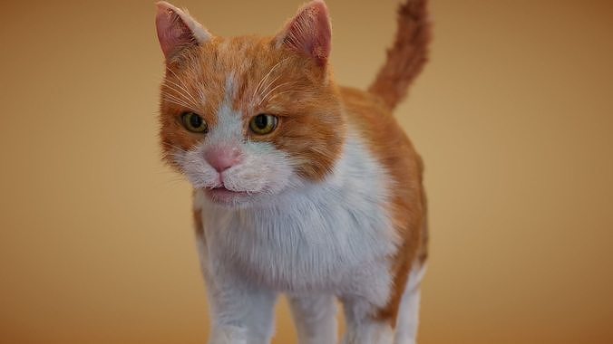 Real Looking Cats