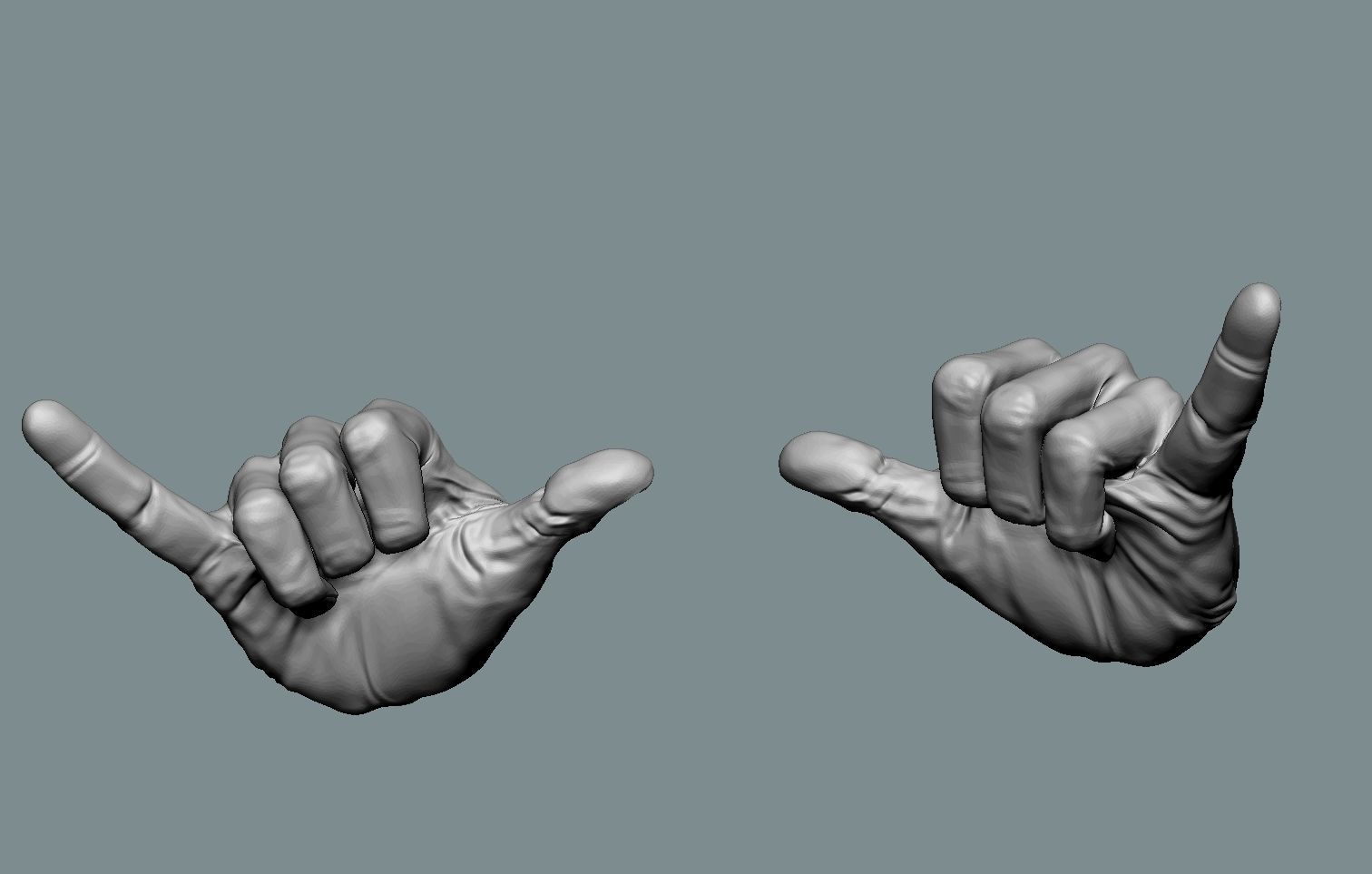 Hang Loose Hands 3D model 3D printable | CGTrader