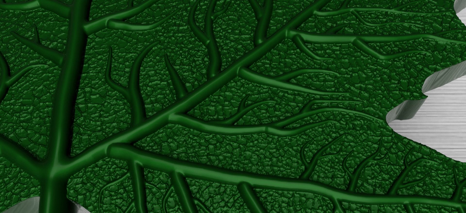 Maple Leaf 3D model 3D printable | CGTrader