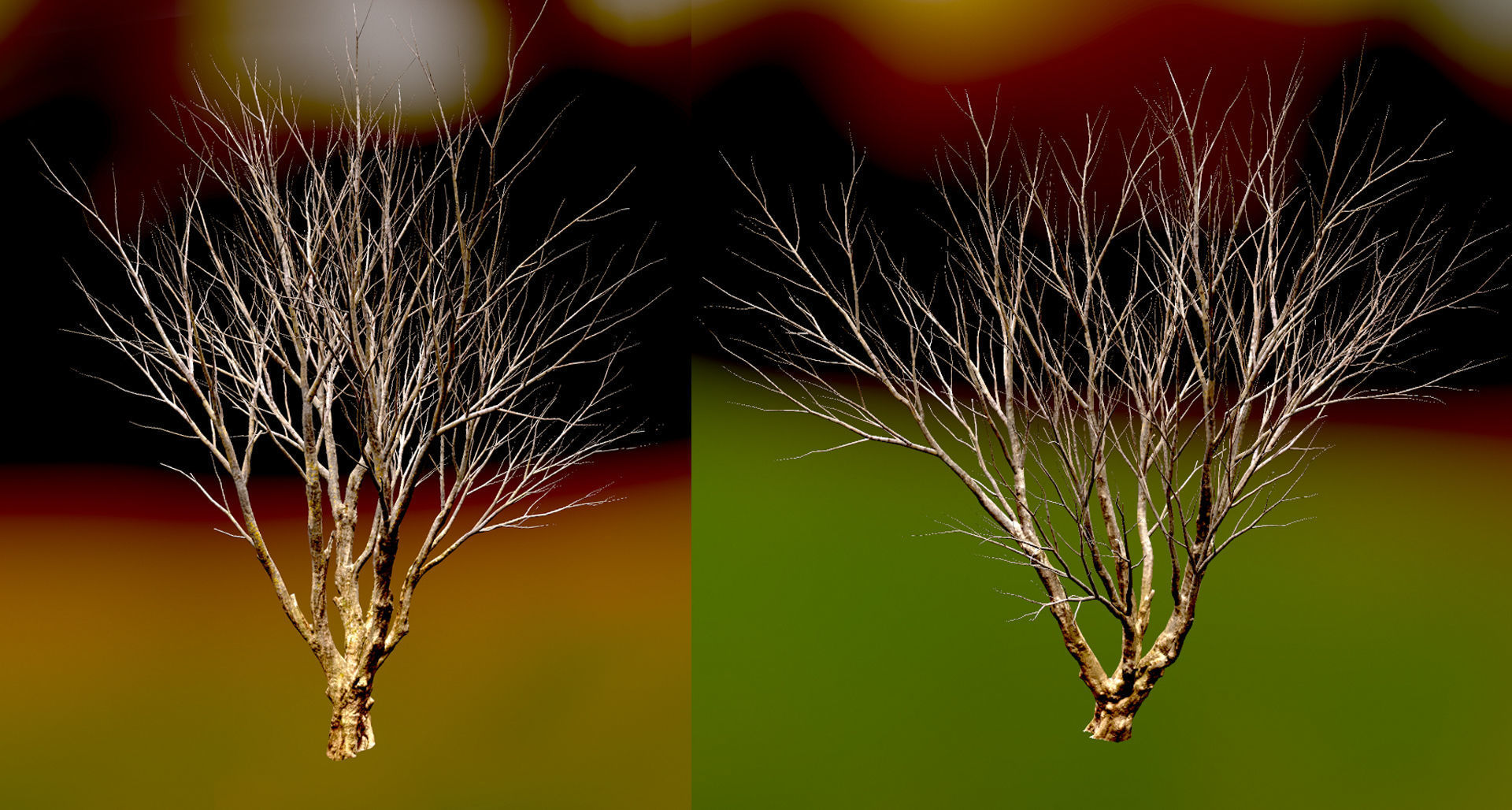 3D model Autumn Maple Scan VR / AR / low-poly | CGTrader