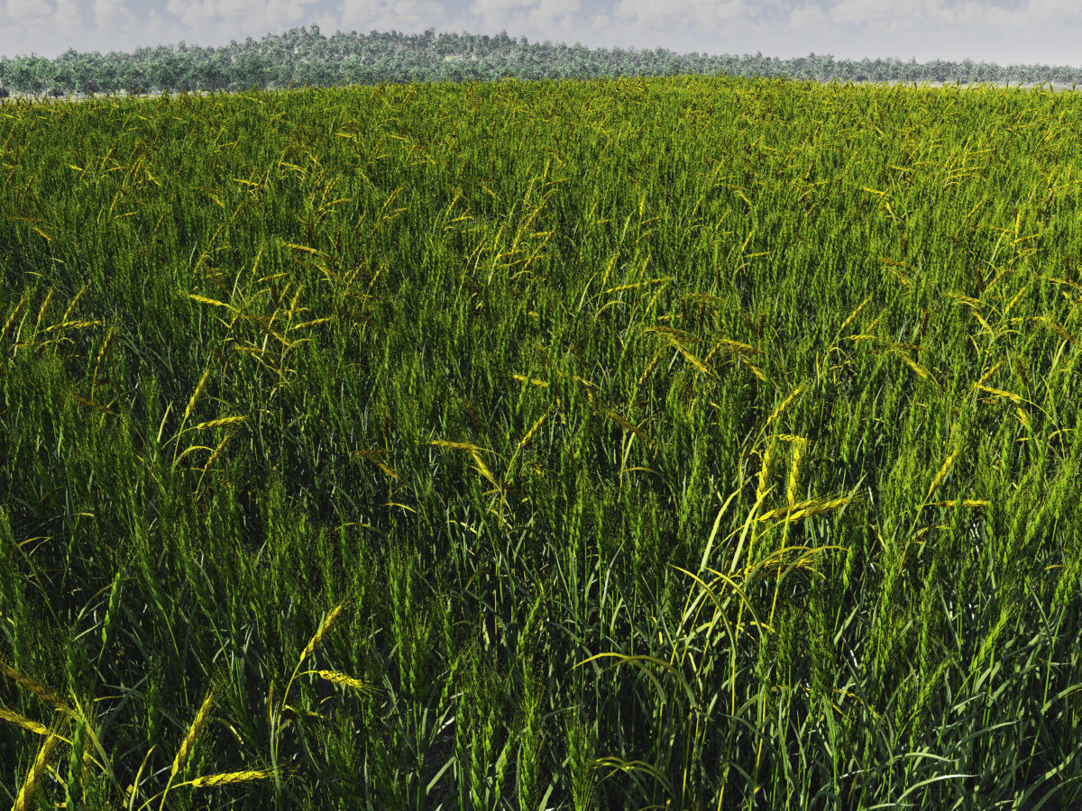 2020 Xfrog Plants Agriculture Library 3D model | CGTrader