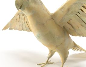 Parakeet 3D Models | CGTrader