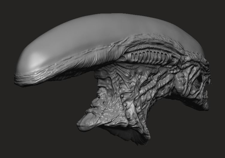 Alien Resurrection Warrior head 3D model | CGTrader