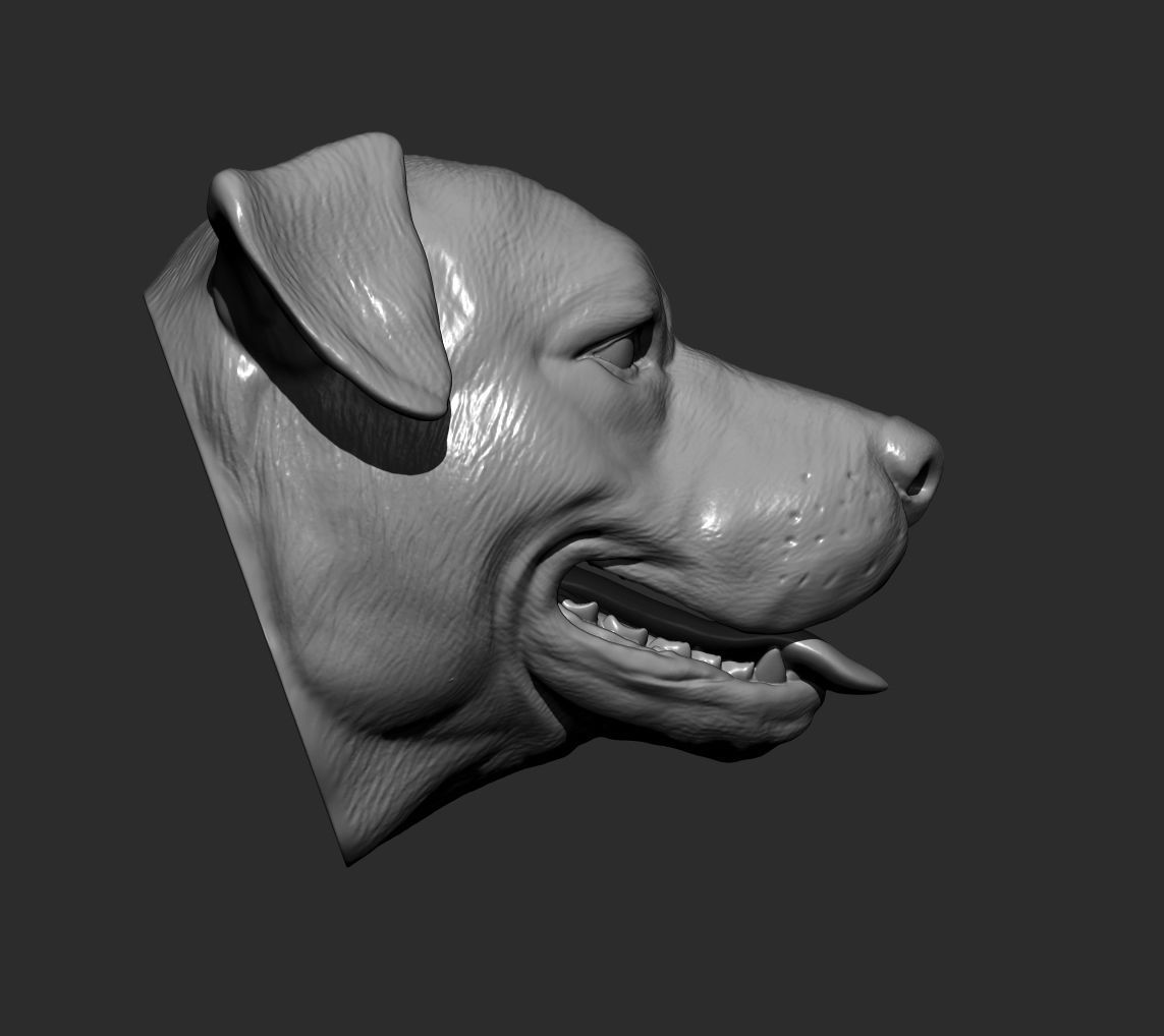 Pit bull head 3D model 3D printable | CGTrader